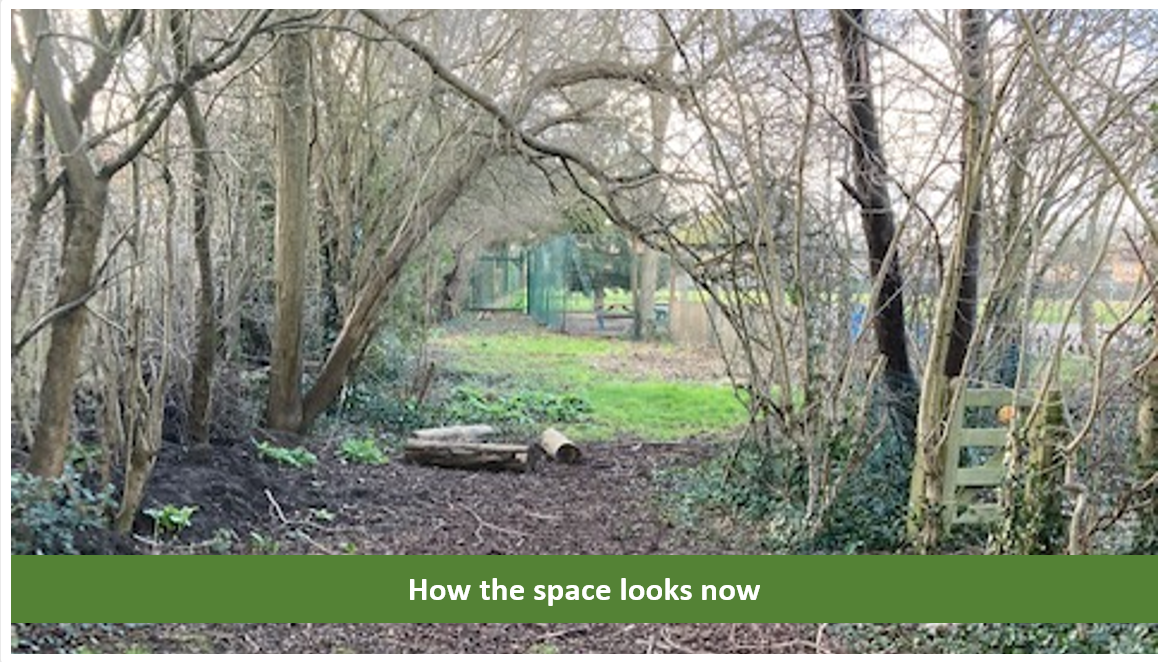 Outdoor Classroom and Forest School area - a Environment crowdfunding ...