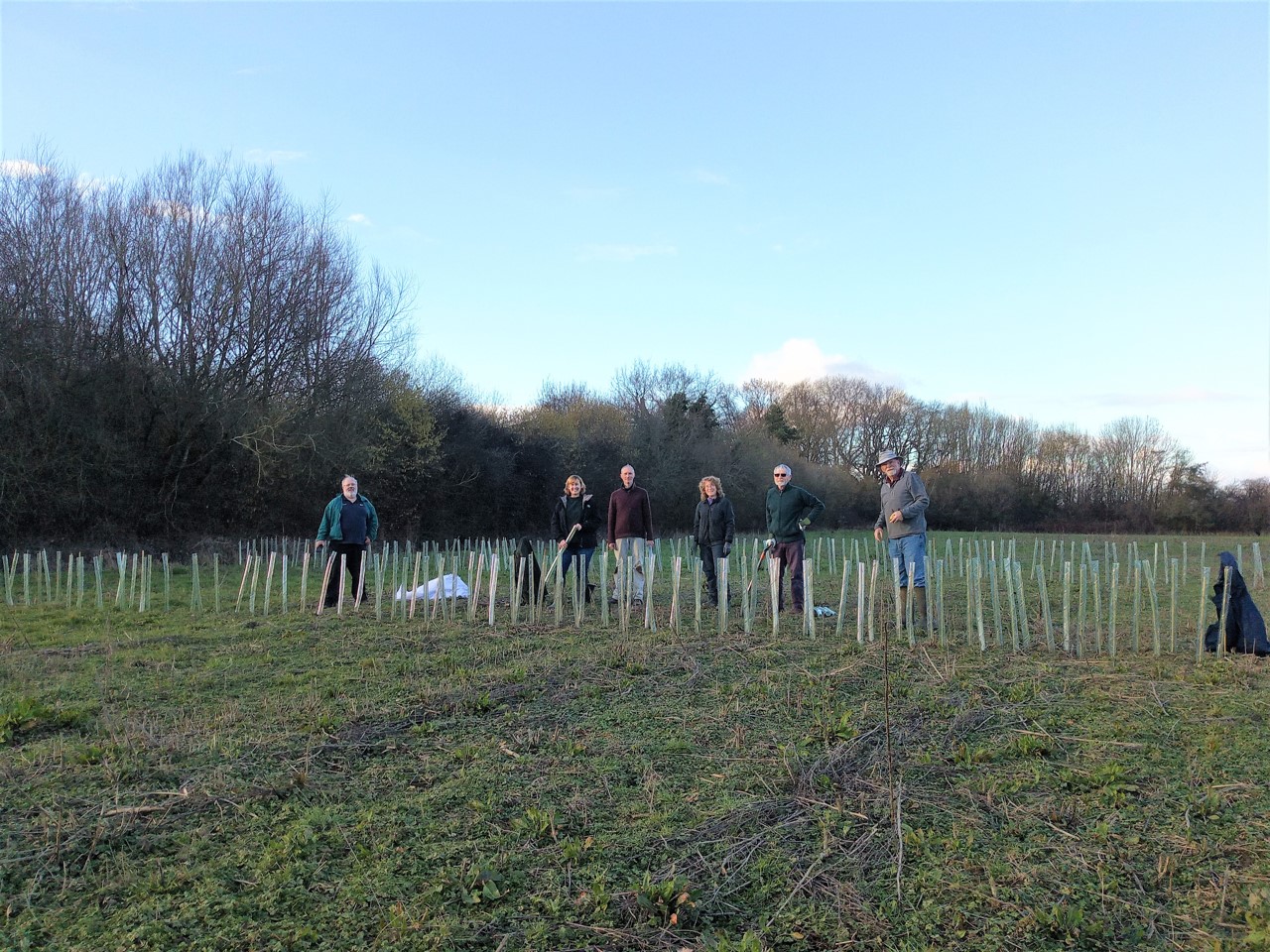 Hallow Fields - 45 acres for nature and people - a Environment ...