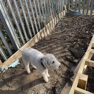 Swinton lock activity centre - a Food and Drink crowdfunding project in ...