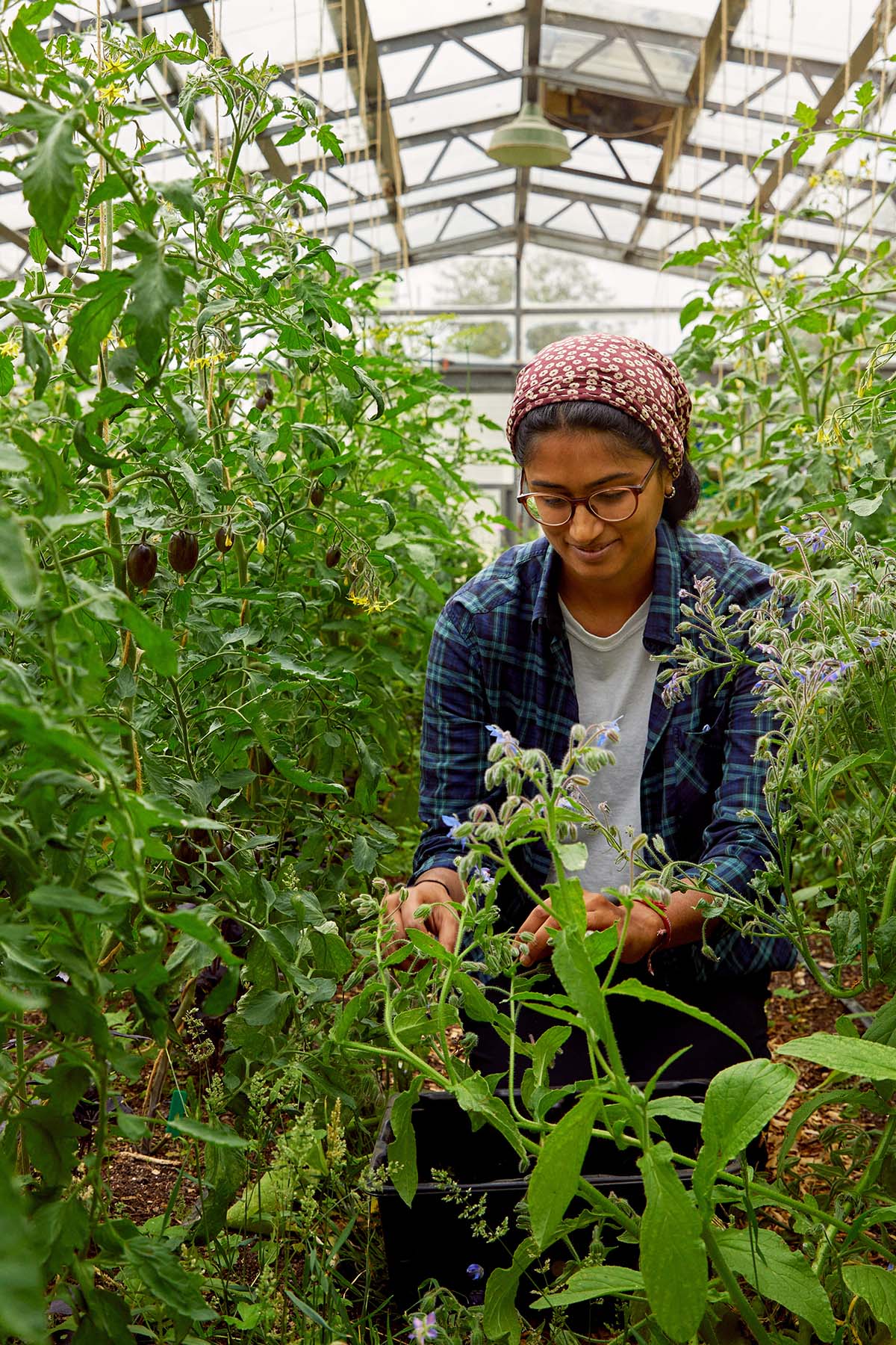 Show Some Love for the Wolves Lane Centre - a Community crowdfunding ...