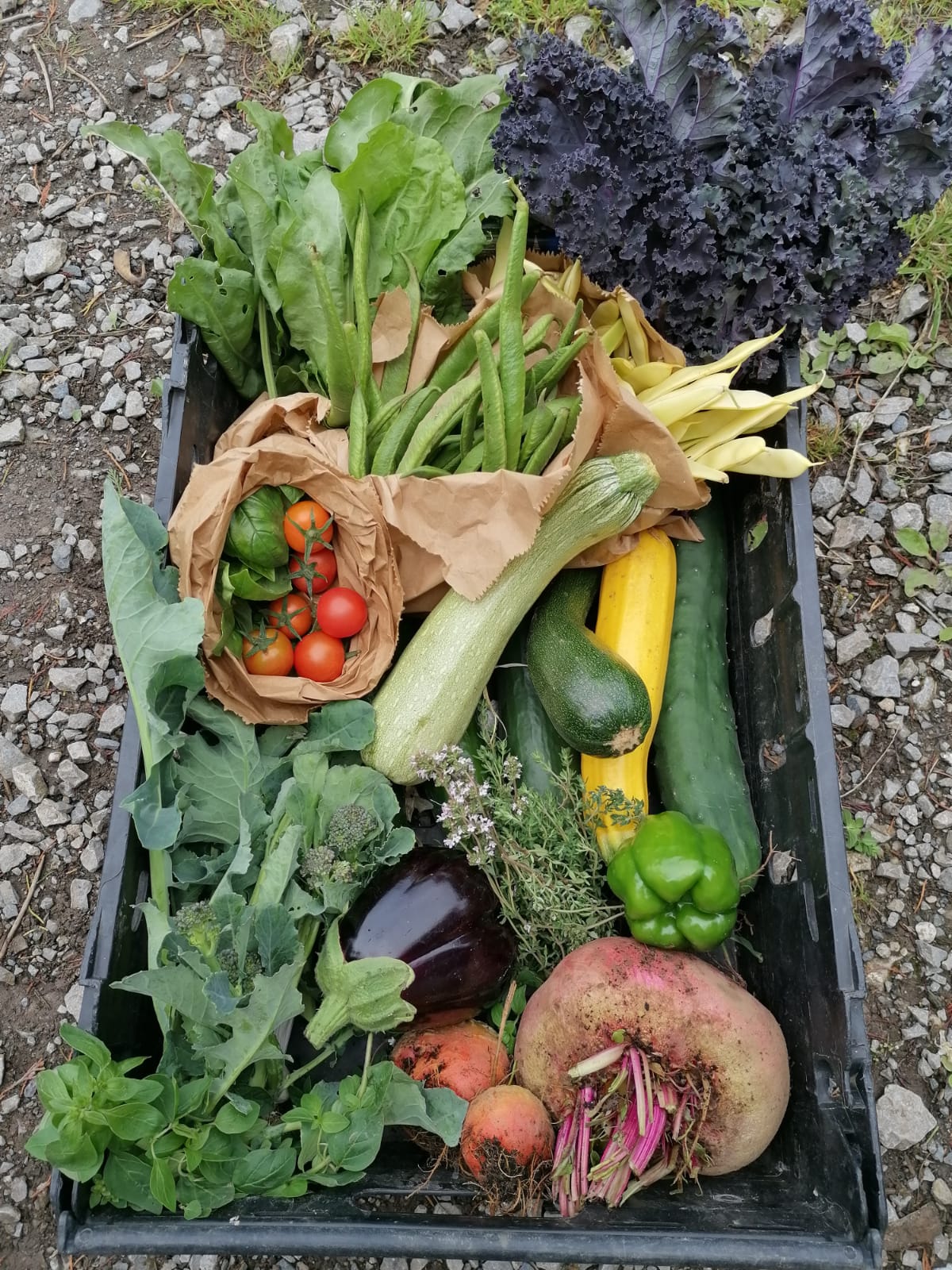 Education for the future: soil and seeds - a Food and Drink ...