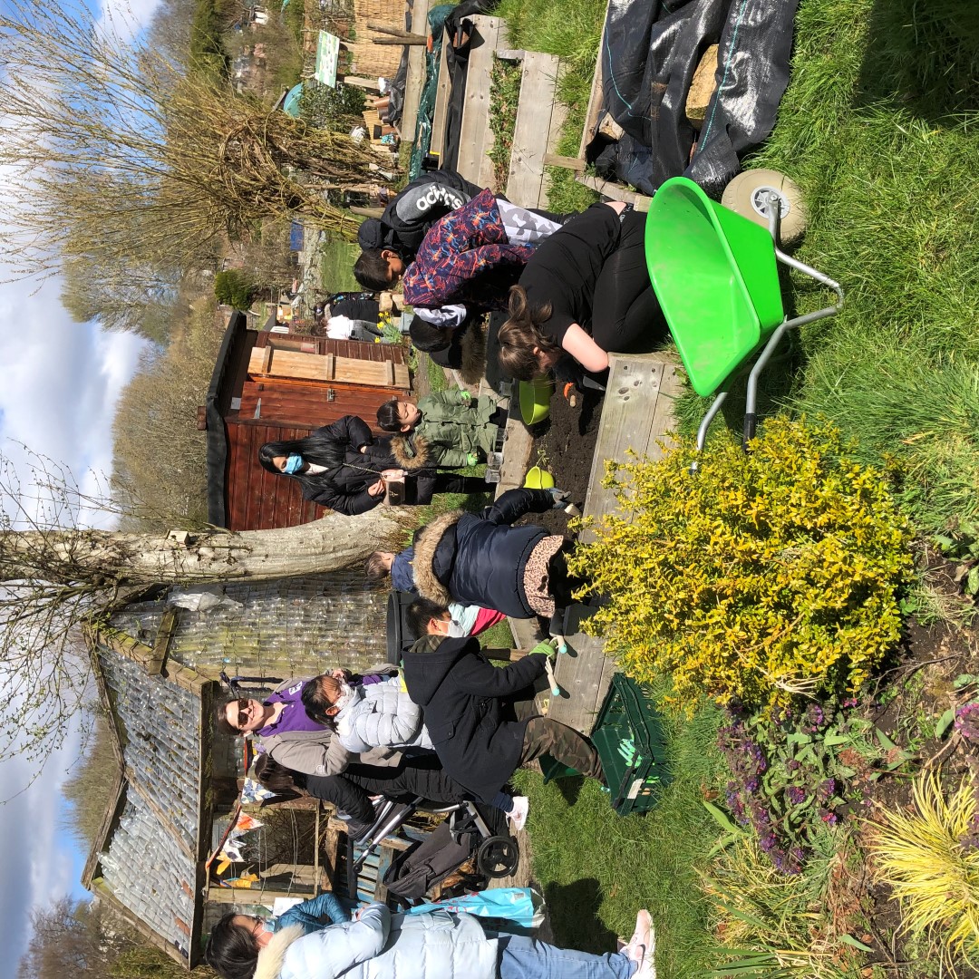 Springburn Family Gardening Project - a Food and Drink crowdfunding ...