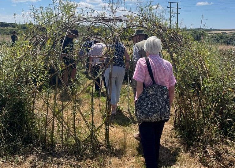 Community Meadow Rewilding Workshops in Cornwall - a Food and Drink ...